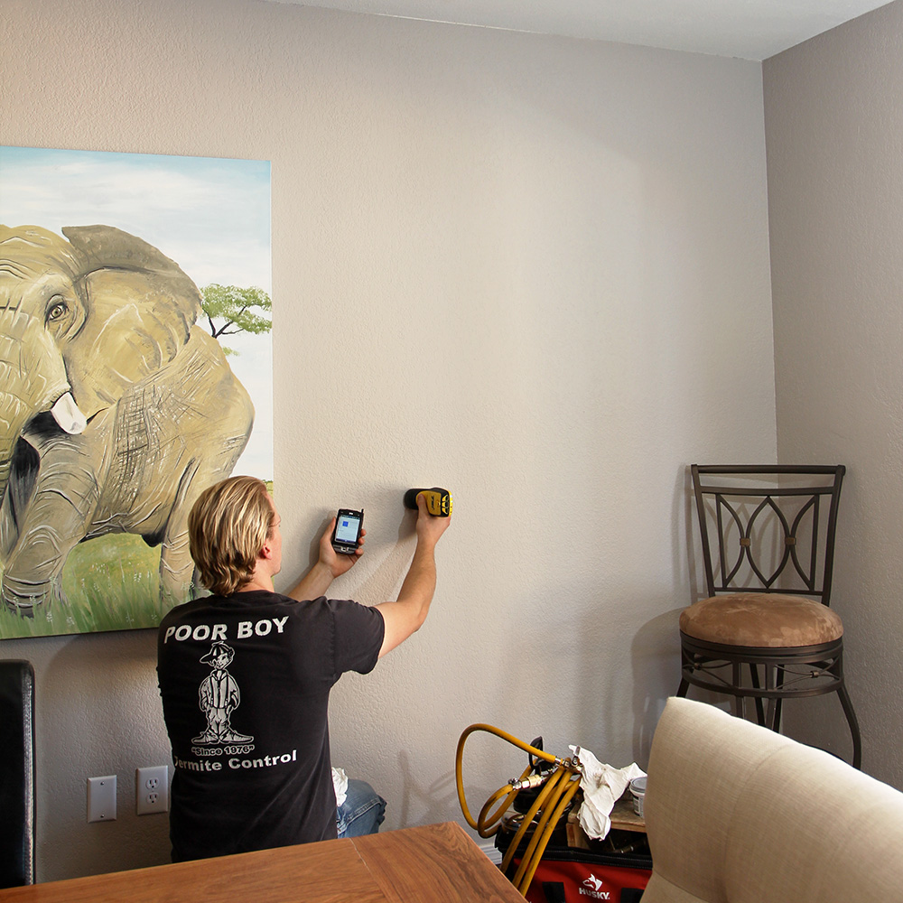 Poor Boy Termite Control - Termite Thermal Imaging Arizona