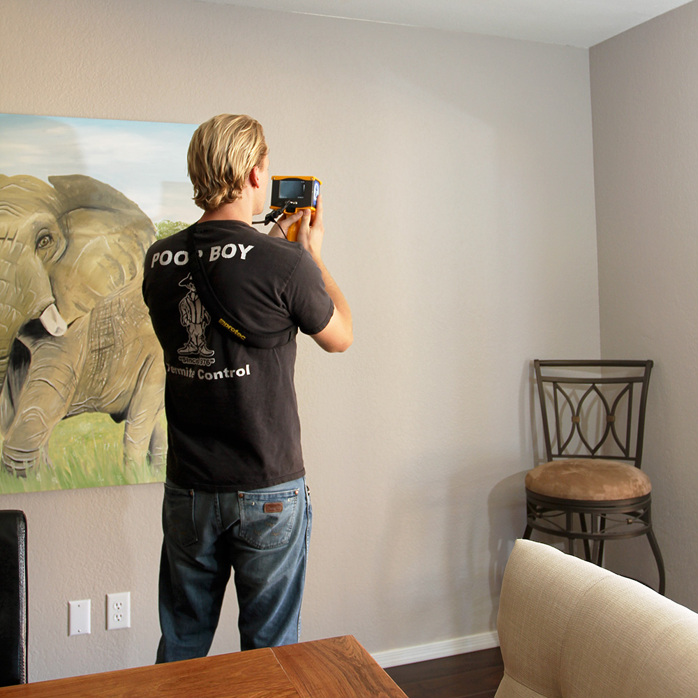 Poor Boy Termite Control - Termite Thermal Imaging Arizona